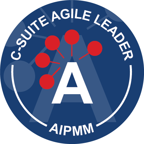 C-Suite Agile Leader